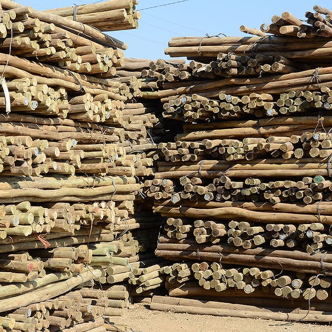 Treated Droppers - Northern Poles and Thatching