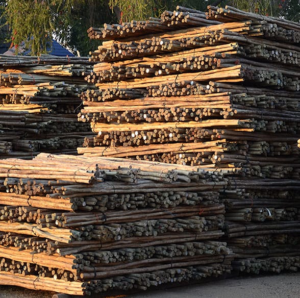 Treated Laths - Northern Poles and Thatching