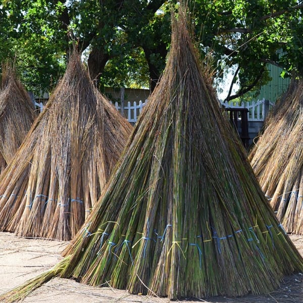 Cape Reed - Northern Poles and Thatching