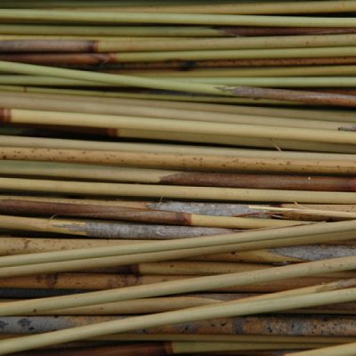 Cape Reed - Northern Poles and Thatching